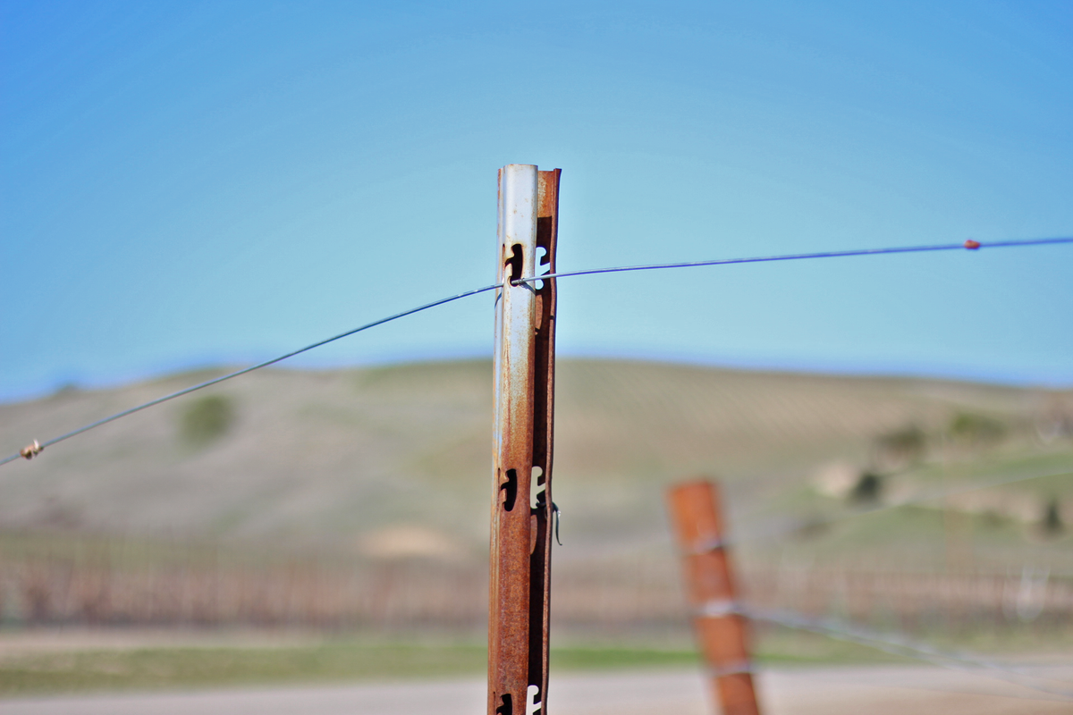 Hot Rolled Super Stake Grande Grapestake Vineyard Metal Post — Ag ...